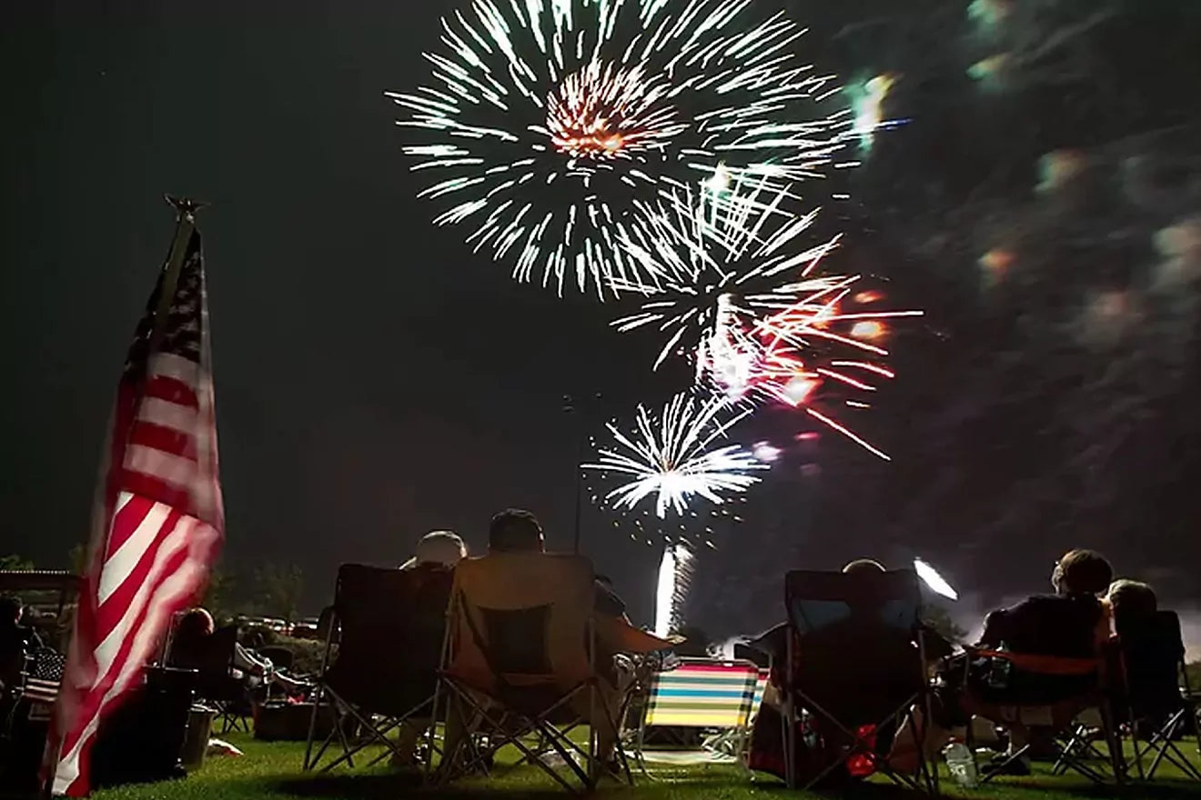 Making the Most of July 4th with Dingbats* Notebooks: Your Ultimate Gu